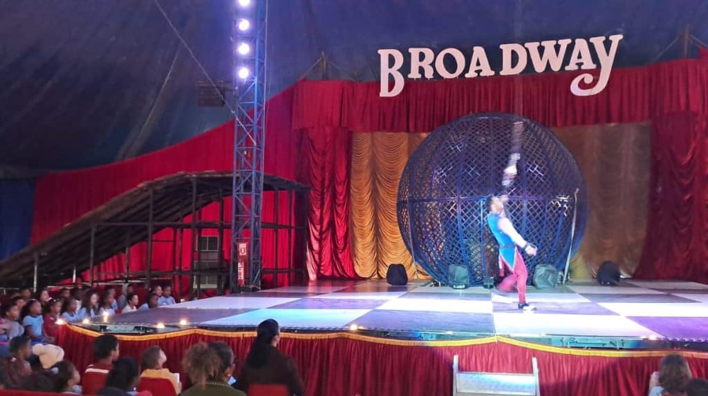 Parceria viabiliza que 500 estudantes assistam espetáculo do Circo ...
